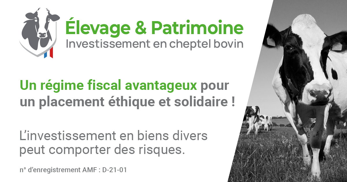 Gestel - Le partenaire financier exclusif des éleveurs bovins